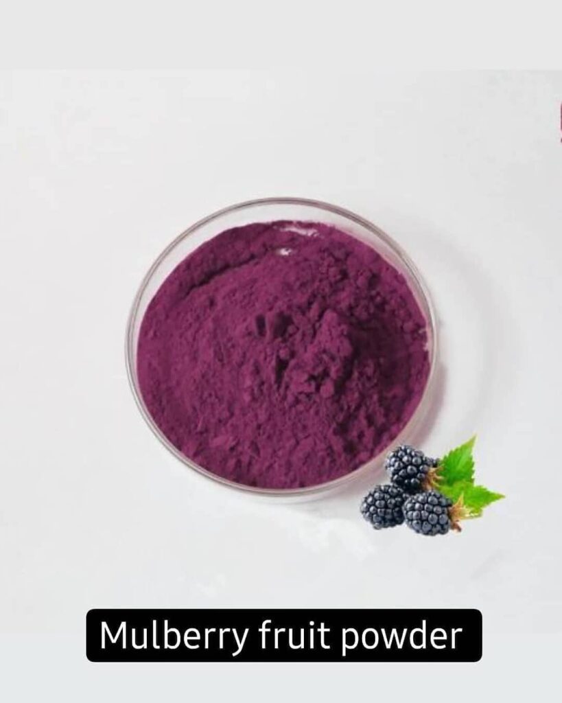 MULBERRY EXTRACT POWDER- PURPLE – UANDNATURE